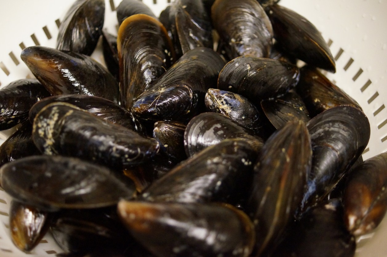 | Mussels Meuniere: One Man’s Staple is another Man’s FadRecipes or ...